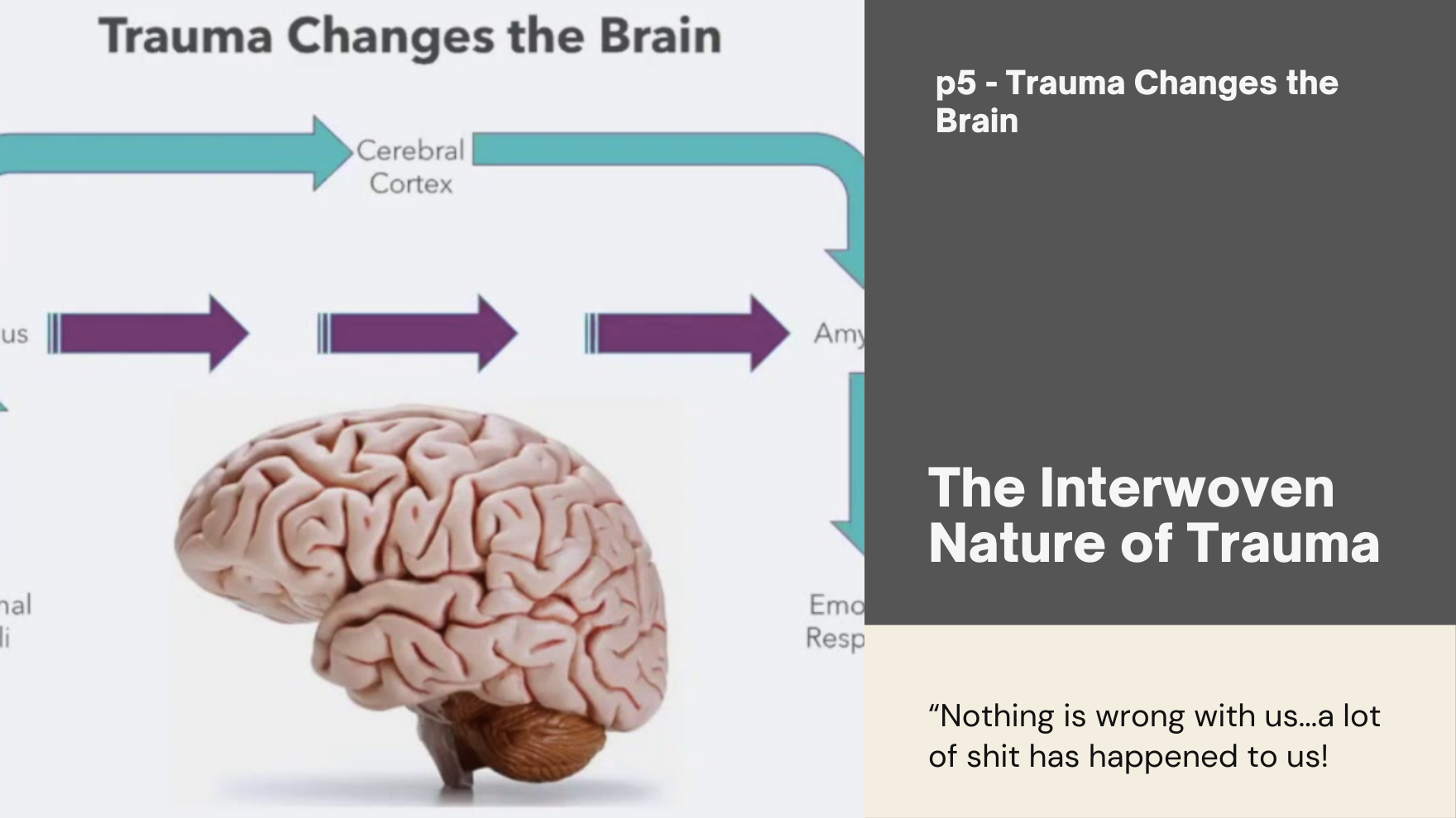 (p5) The Interwoven Nature of Trauma – SHOCKmetaphysics.com